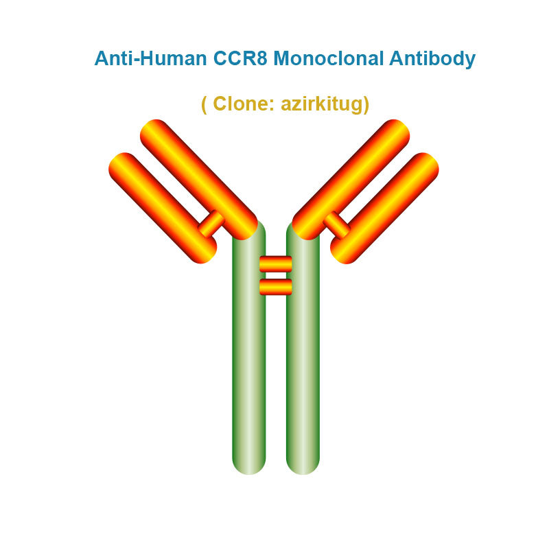 Anti-Human CCR8 Monoclonal Antibody, clone: azirkitug, Ships in 3-5 We – Humimmu