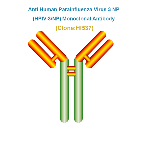 Anti Human Parainfluenza Virus type 3 NP (HPIV3-NP) Monoclonal Antibod ...