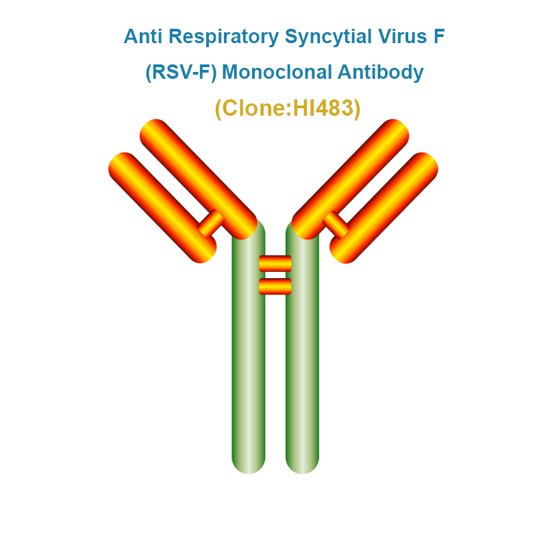 Anti Respiratory Syncytial Virus F (RSV-F) Monoclonal Antibody – Humimmu