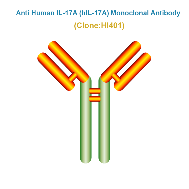 Anti Human IL-17A (hIL-17A) Monoclonal Antibody – Humimmu