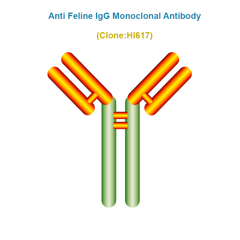 Anti Feline IgG (fIgG) Monoclonal Antibody – Humimmu