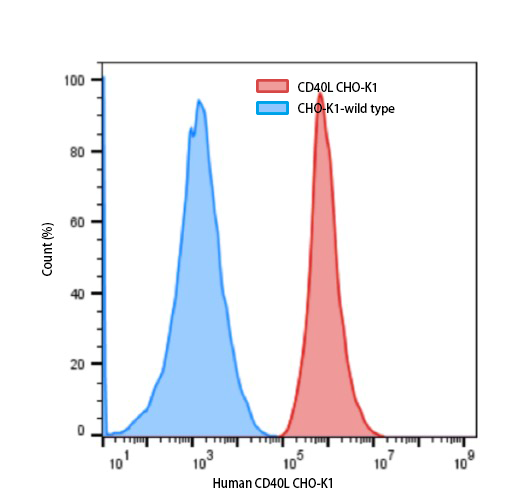 Human CD40L-CHO-K1 Stable Cell Line – Humimmu