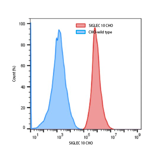 CHO SIGLEC10 (Siglec 10) clone 4 P4 (medium) – Humimmu