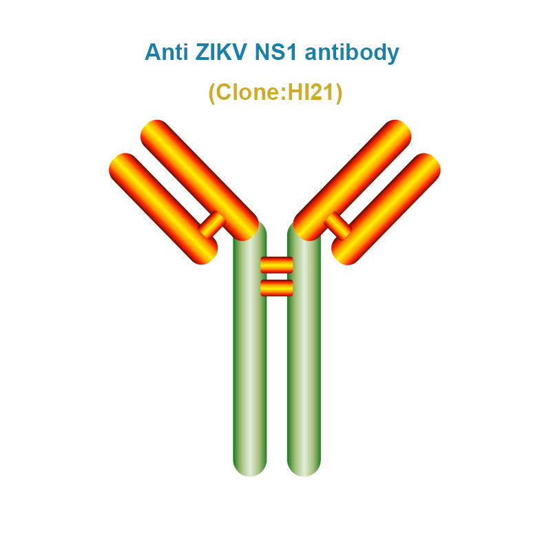 Anti ZIKV NS1 antibody, Clone HI21 – Humimmu